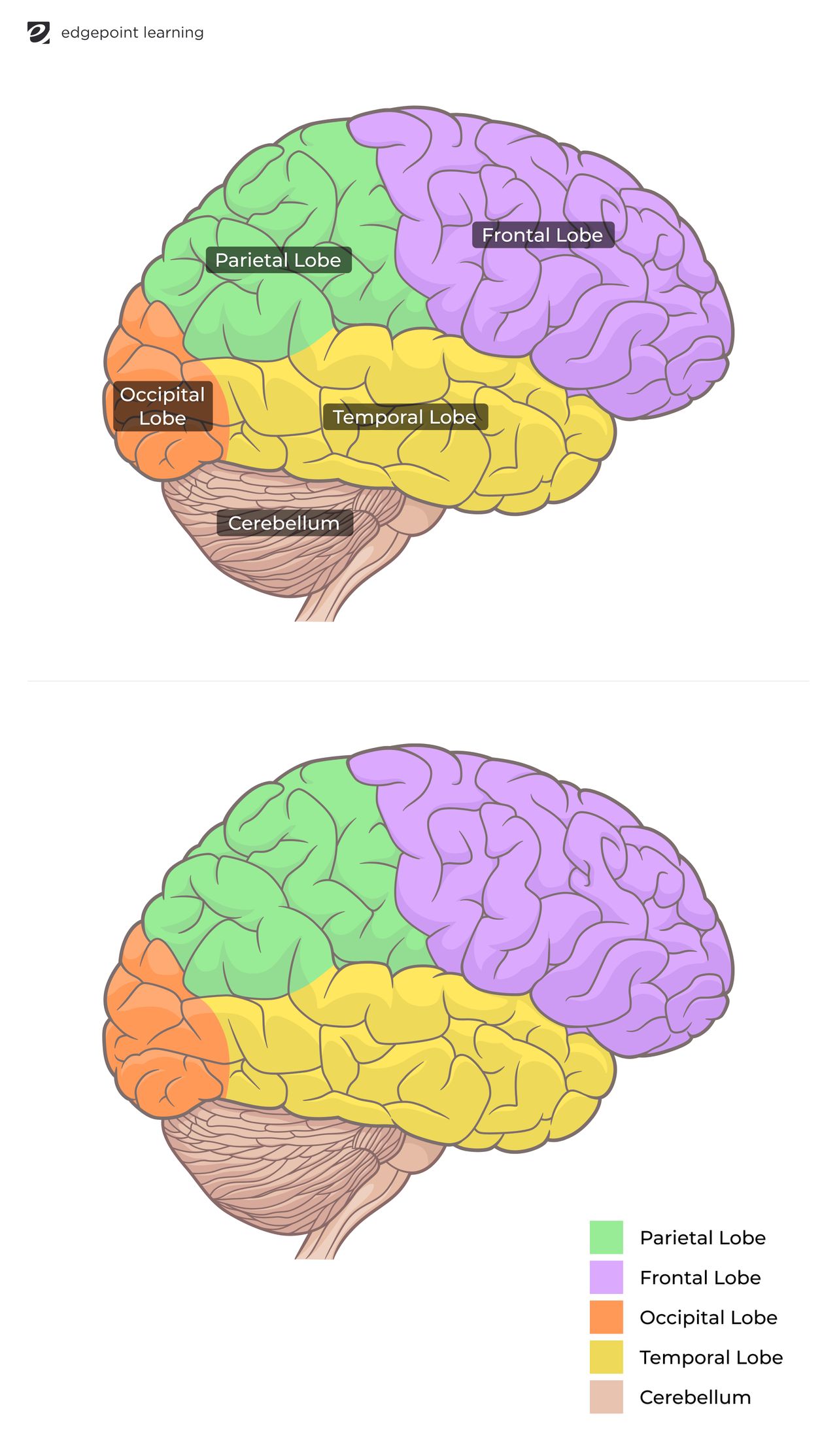 Make Learning Stick By Using Cognitive Load Theory in Your Training ...